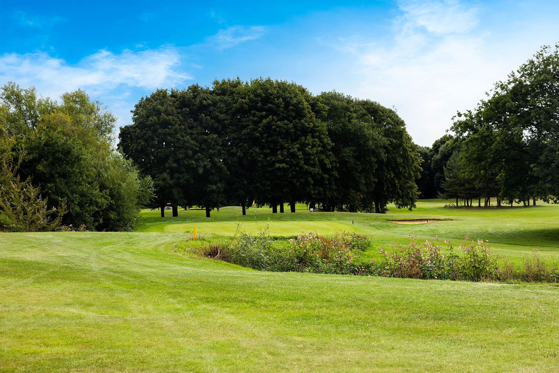 Stevenage Golf & Conference Centre | Everyone Golf