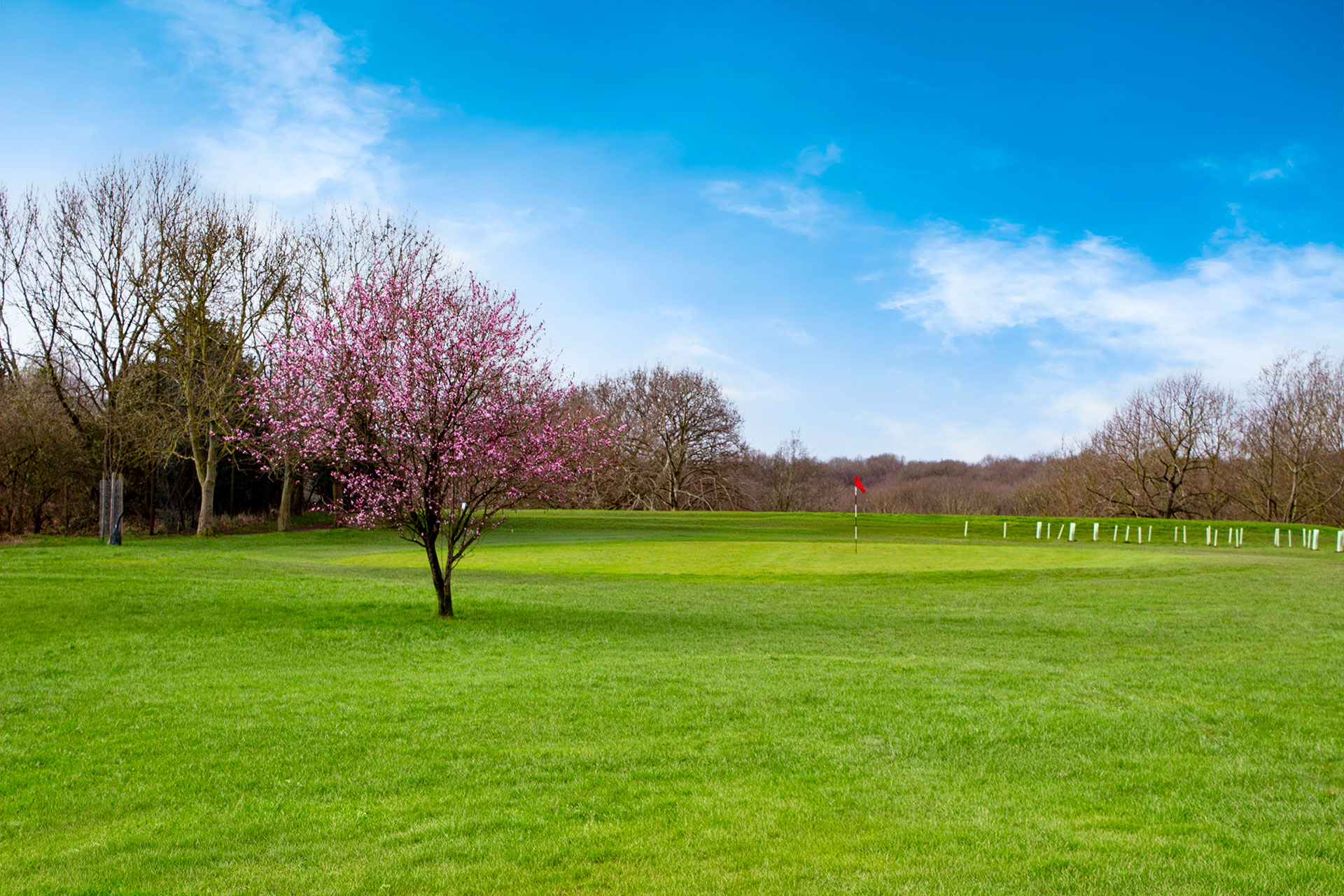Cannock Park Golf Course | Everyone Golf